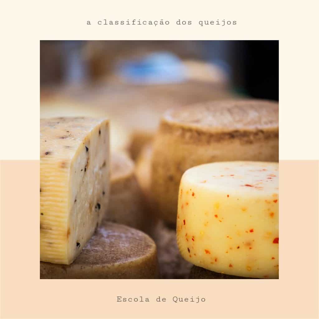 Classificação dos Queijos e Contexto Produtivo - Queijos no Brasil